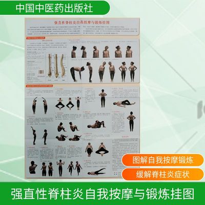 强直性脊柱炎自我按摩与锻炼挂图 郑润杰,张雄 编 外科学生活 新华书店正版图书籍 中国中医药出版社