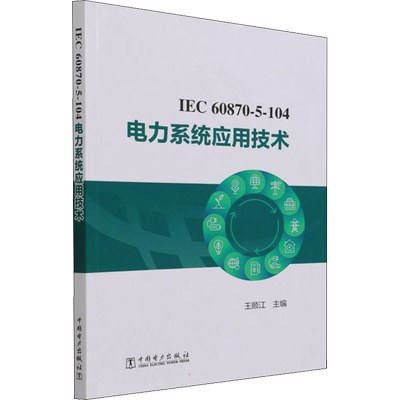 IEC 60870-5-104电力系统应用技术 王顺江 编 其它工具书专业科技 新华书店正版图书籍 中国电力出版社