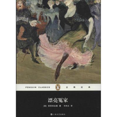 漂亮冤家 菲茨杰拉德 著作 何伟文 译者 现代/当代文学文学 新华书店正版图书籍 上海文艺出版社