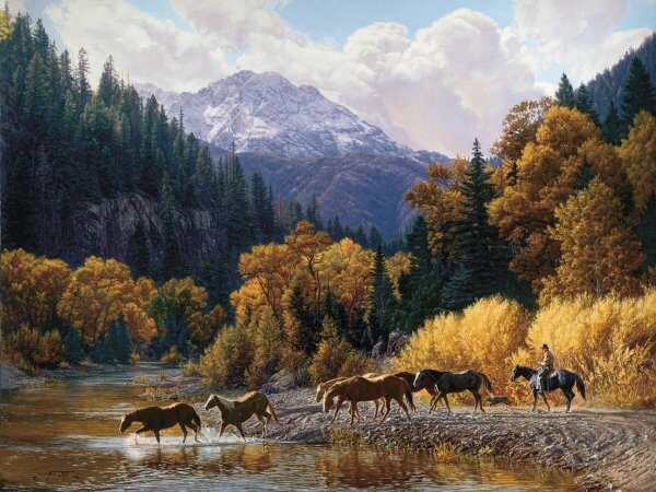 新款印花新款法国正品DMC十字绣风景名画 油画 落基山乐园