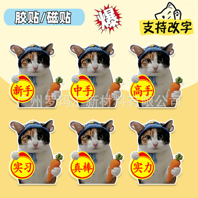 萝卜纸巾猫咪车贴磁贴中手真棒搞笑实习表情包创意新手司机meme贴