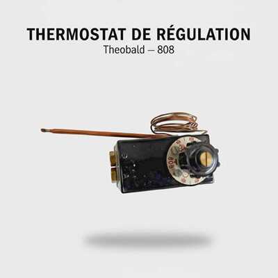 Thermostat de rgulation Theobald 808