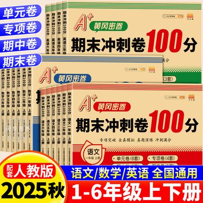 2025新版小学期末冲刺100分试卷