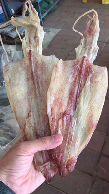 208元一斤包邮 阳江沙扒湾渔民船晒深海枪乌贼柔鱼 尤鱼 鱿鱼干货