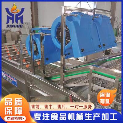 大姜清洗风干翻流水线 多功袋装产品杀能菌清洗风RJN干机 流转强