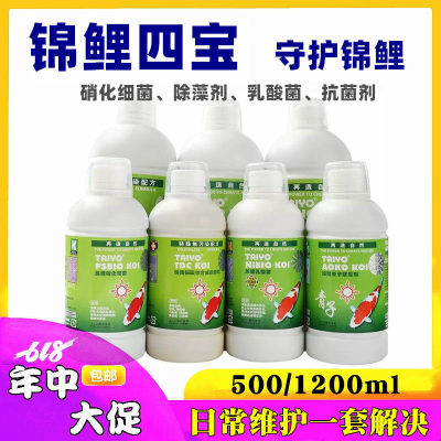 硝化细菌乳酸菌青子除藻剂