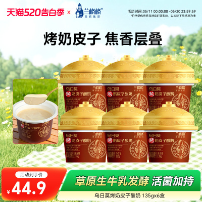 兰格格草原酸奶新款烤奶皮子