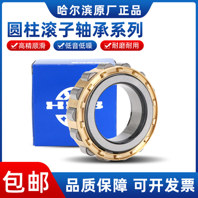 哈尔滨圆柱滚子轴承RN N 304 305 306 307 308 309 310 311 312 M