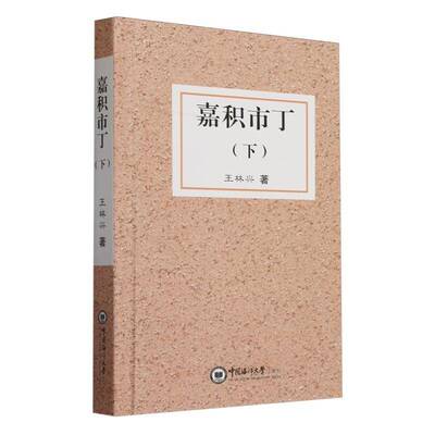 正版书籍 嘉积市丁(下)(精)王林兴中国海洋大学出版社文学  人天书店畅销书排行榜