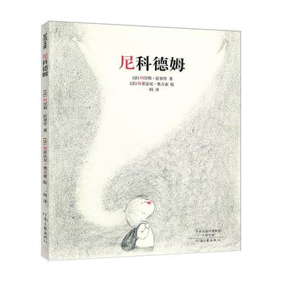 正版书籍 尼科德姆阿涅斯·拉罗什河南文艺出版社儿童读物图画故事法国现代 人天书店畅销书排行榜