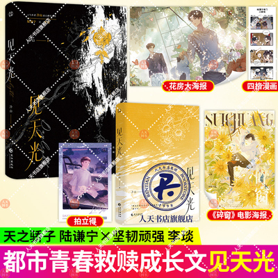 见天光青春文学小说都市