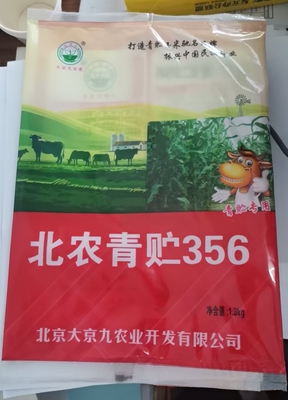 大京九北农356青贮专用玉米种