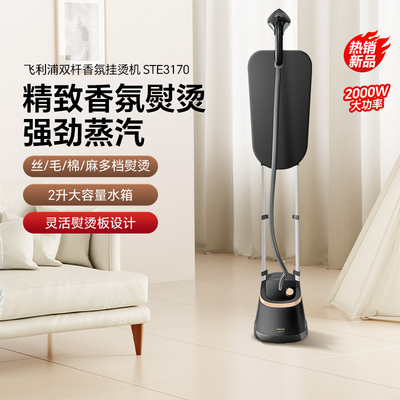 蒸汽挂烫机立式家用正品除菌除皱