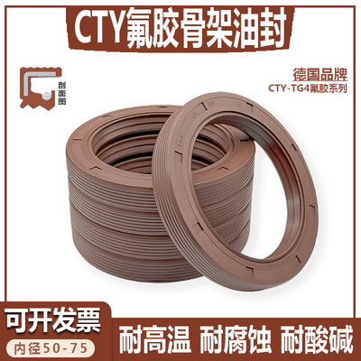 德国CTY-TG4氟橡胶骨架油封耐磨