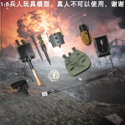 兵人1/6DIDD80191ZB30