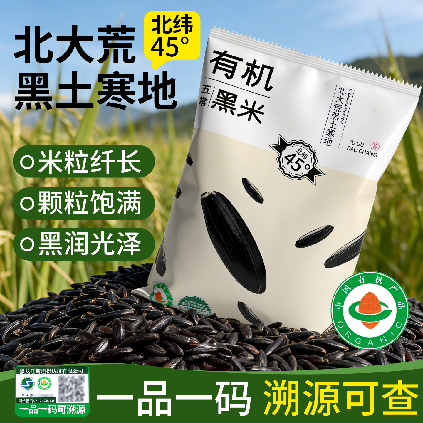 东北有机黑米宝宝辅食2025年新米五谷杂粮黑米粥米糊打豆浆黑米饭