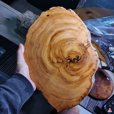 太行崖柏水泥皮实木杯垫壶垫底座