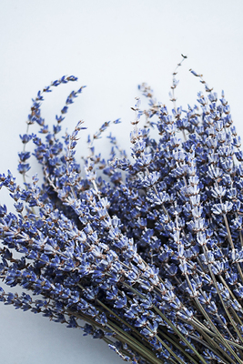 法国薰衣草韩国candleworks精油