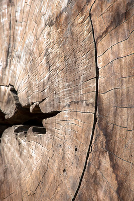 檀香韩国CANDLEWORKS香薰精油