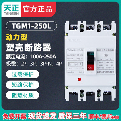 天正TGM1-250L/33002马达保护塑壳断路器 空气开 关200A160A250A