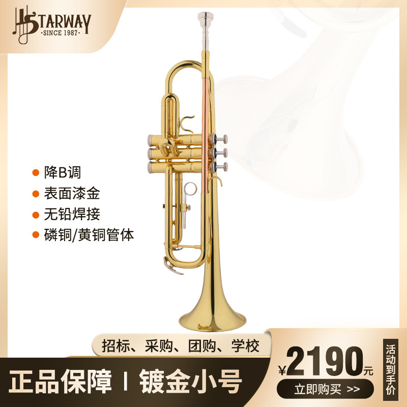 starway斯达威SDWTR-215小号专业演奏级降b调儿童成人管乐队乐器