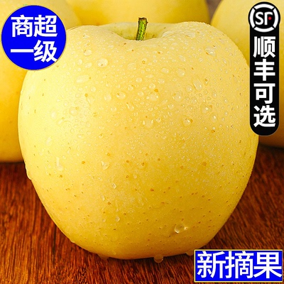 顺丰可选正宗黄元帅苹果9斤新果