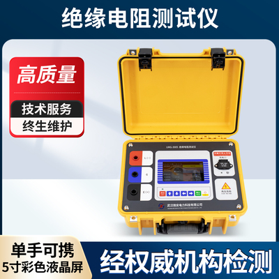 微安电力5kV绝缘电阻测试仪
