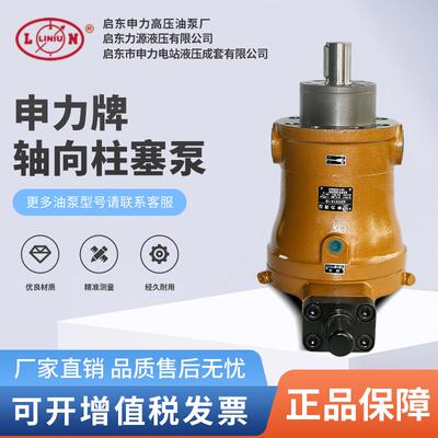 新款高压油泵10/25/40/63/80/108/160/250YCY14-1B轴包邮