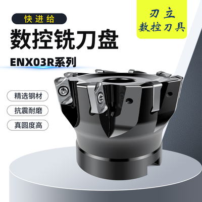 双面开粗面铣刀盘EXN03R快进给铣刀盘装LNMU0303铣刀片