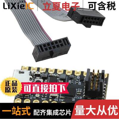 MAX32625PICO#开发板 〔MAX32625 EVAL BRD 〕