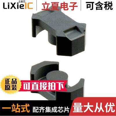 B65803P0000Y038  TDK Corporation