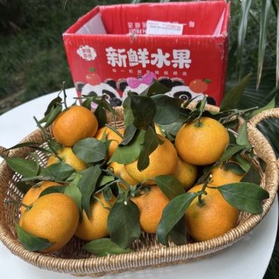 小爱媛果冻橙（没有甜蜜素）【口感不售后】收到放置几天口感更好