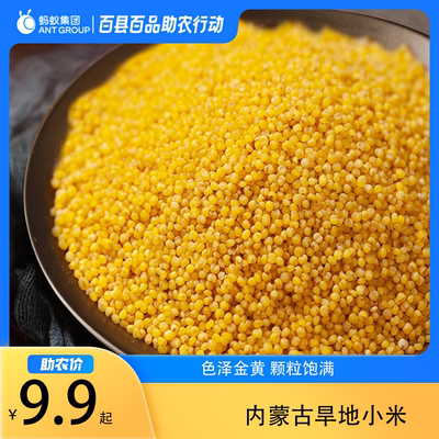 内蒙古林西县小米