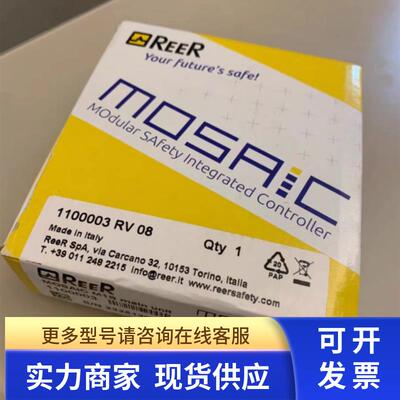 Reer安全继电器M1S 1100003 RV 08