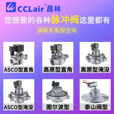 LPDA20直角LPDC25淹没式40防爆LPDD50除尘65外螺母80脉冲阀C/A/B