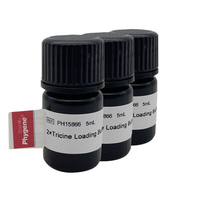 2Tricines加样缓冲液 Tricine上样缓冲液 5ML PH15866 PHYGENE