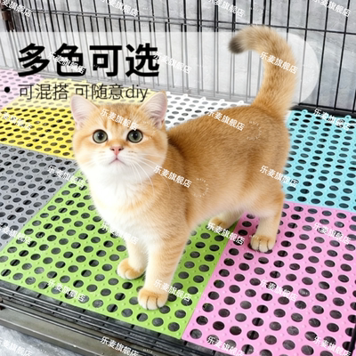 宠物垫窝笼子垫板可拆洗兔子狗狗笼猫笼子垫脚板防水脚垫子防撕咬