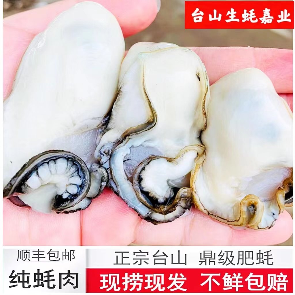 正宗台山生蚝肉去壳鲜活特大肥美海鲜原产地直供新鲜水产牡蛎肉