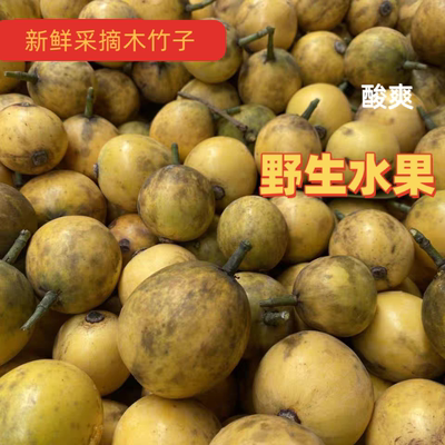 广西野生木竹子果酸桐子竹桔竹节