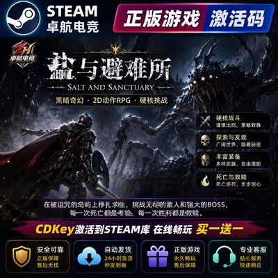 盐与避难所 正版Steam激活码CDKey入库 Salt and Sanctuary 全DLC