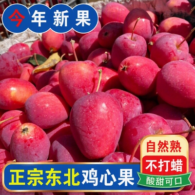 正宗东北鸡心果沙果甜脆好吃