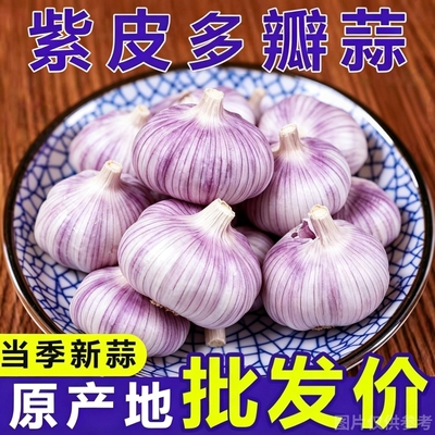 【保质保量】2026特价新干大蒜特大果新干蒜批发农家紫白皮大蒜头