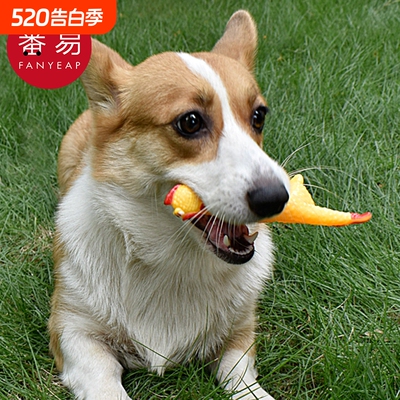 宠物玩具A1pl700-狗狗磨牙玉米棒耐咬骨头发声尖叫鸡解闷幼犬用
