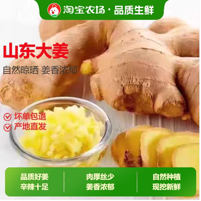 山东生姜大姜老姜现挖土新鲜蔬菜农家月子姜风干姜鲜姜食用自种