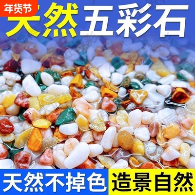 天然雨花石五彩石鱼缸造景底部砂石盆栽多肉铺面石鹅卵石装饰摆件
