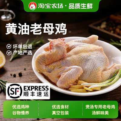 三物纪正宗新鲜皖南黄油老母鸡土鸡农家整鸡顺丰包邮鸡肉到家蛋鸡