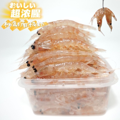 南极钓海秘制海钓磷虾浓腥鱼饵黄脚腊鱼饵料南极虾冷冻黑鲷钓虾