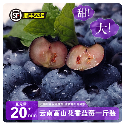 云南高原海拔1800米花香蓝莓