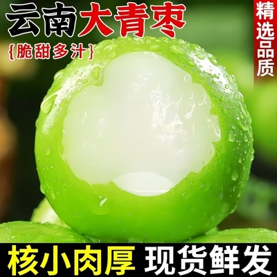 新鲜云南大青枣5斤当季现摘水果牛奶青枣苹果枣清甜回甘整箱包邮