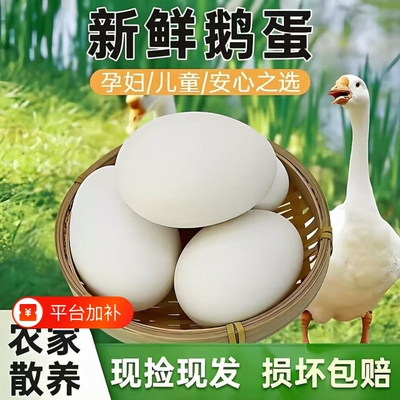 正宗新鲜大鹅蛋土鹅蛋现捡现发